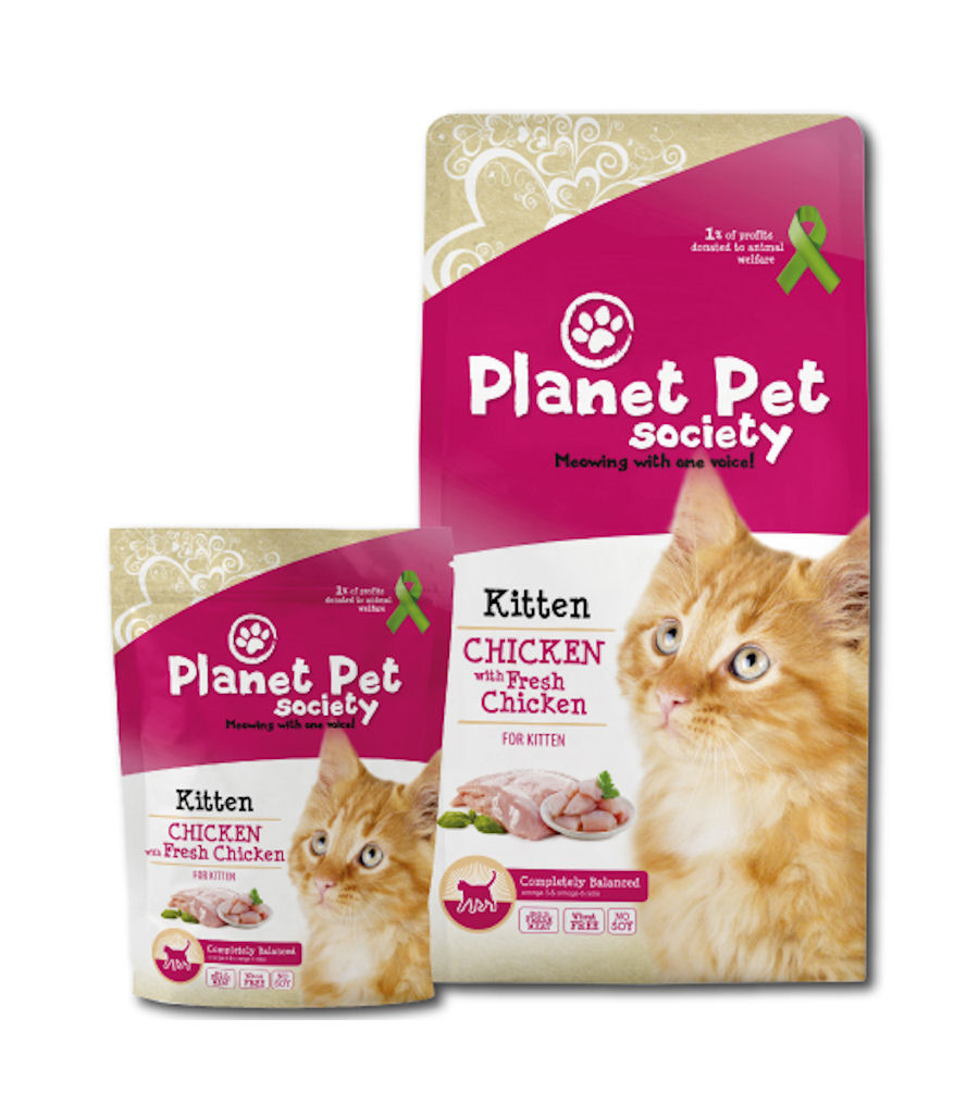 PP - Kitten - Animaux Bree
